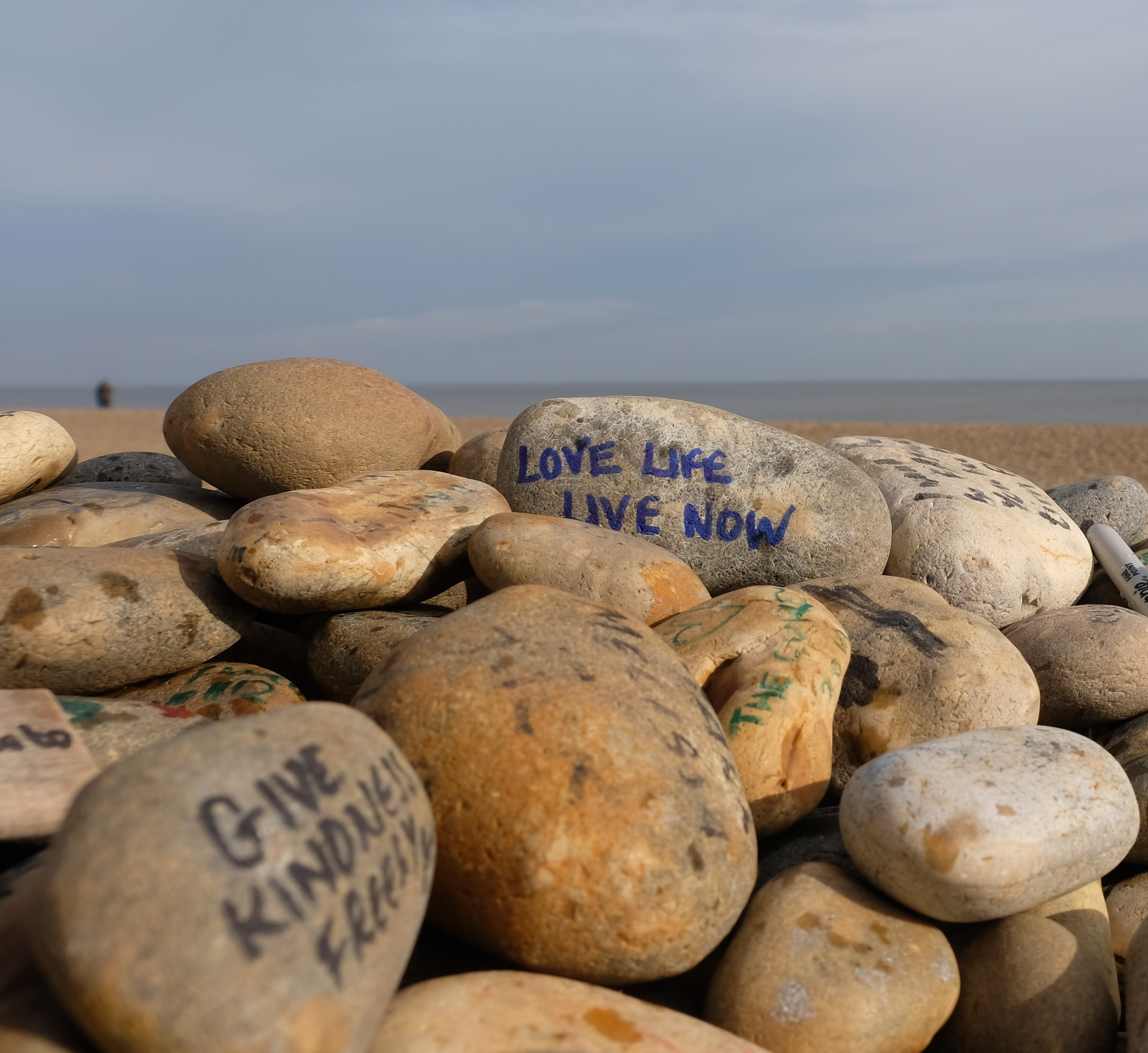 Free Meditation Downloads | The Now Project