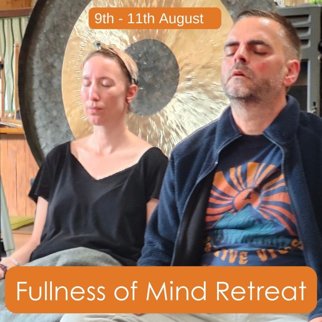 The Now Project | Mindfulness & Meditation Retreats & Courses